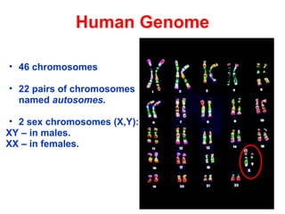 Presentation on introduction to Genetics | PPT