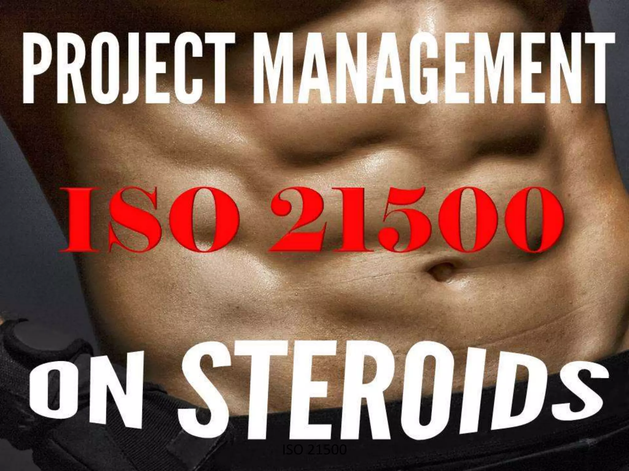 ISO 25100: PROJECT MANAGEMENT ON STEROIDS | PPT