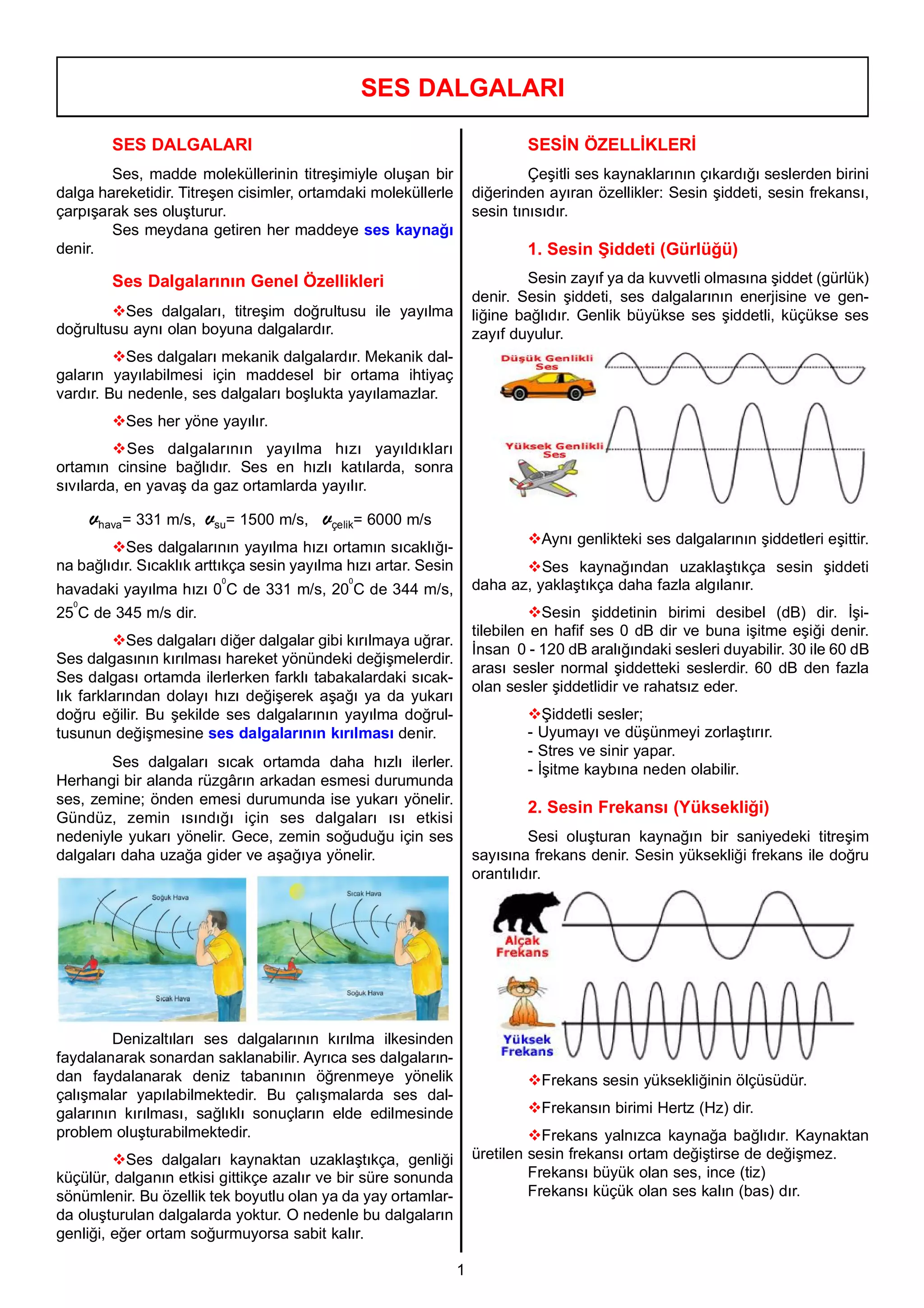 Ses Dalgaları Konu Anlatım (Özet) | PDF