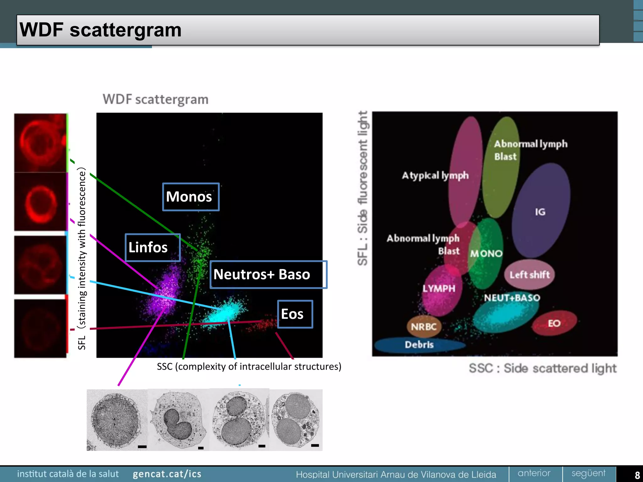 Hemograma: què ens aporta? 2018 | PDF
