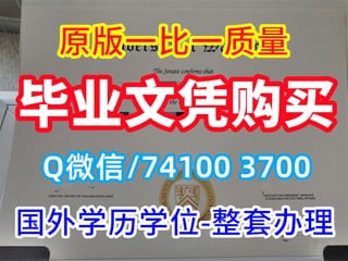 Saskatchewan Diploma | PDF