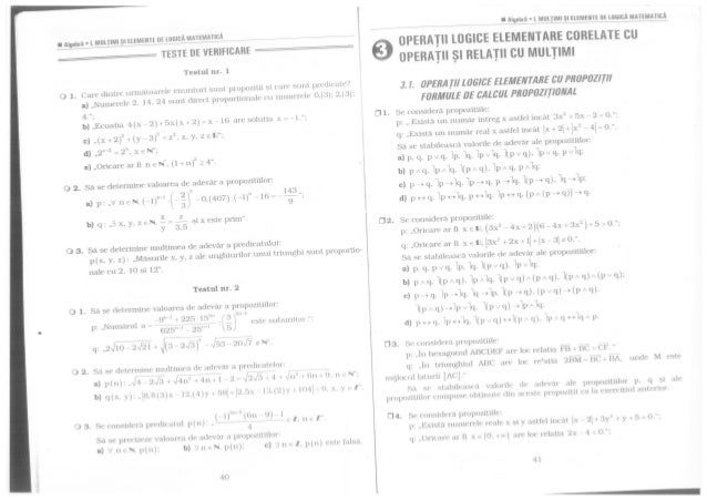 manual matematica clasa 10 burtea pdf