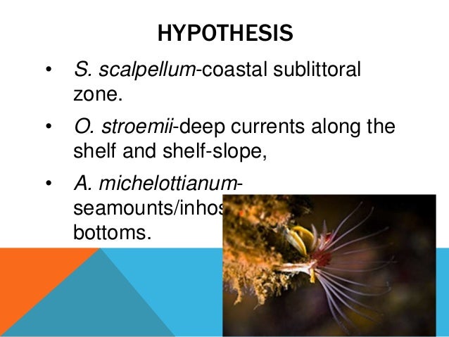 The_Life_and_Times_of_Barnacles[1]