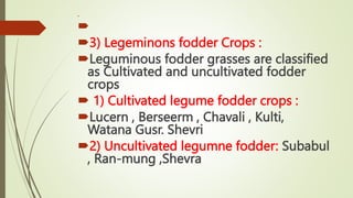 fodder crops .pptx