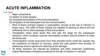 Pathology of Inflammation and its pathophysiology.pdf