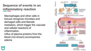 Pathology of Inflammation and its pathophysiology.pdf