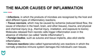 Pathology of Inflammation and its pathophysiology.pdf