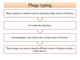 2_5221928110148038345.pdf