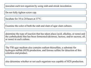 2_5221928110148038345.pdf