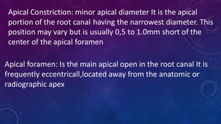 2_5226480779776781637 (1) (1).pdfbxbxxnxn | PDF