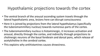 Hypothalamus and cerebral cortex, role of leptins | PPT
