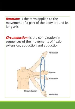 Introduction to Human Anatomy | PDF