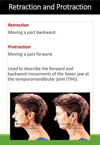 Introduction to Human Anatomy | PDF