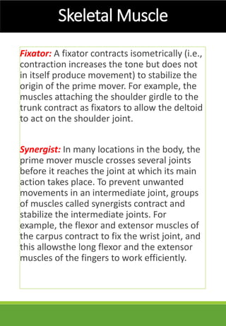 Basic Structures in human body | PDF