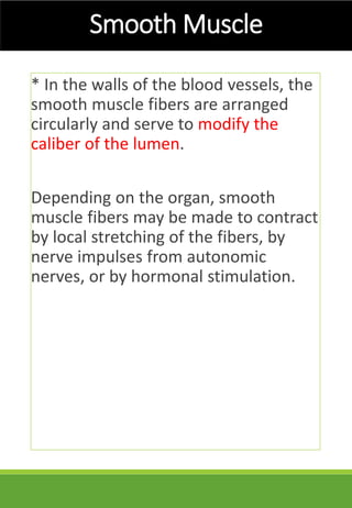 Basic Structures in human body | PDF