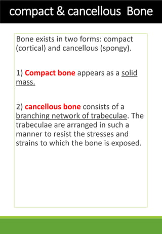 Basic Structures in human body | PDF
