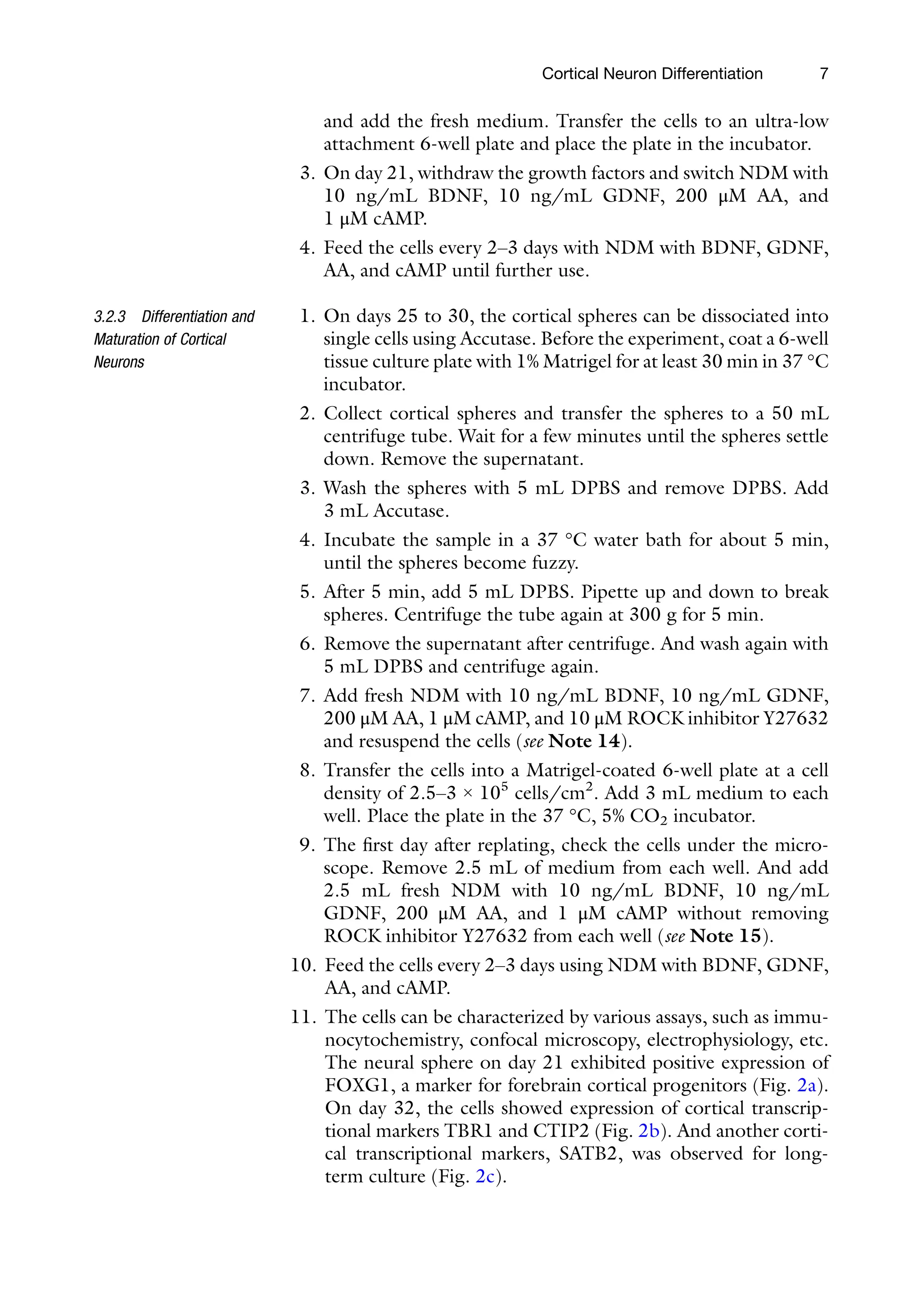 Stem Cellbased Neural Model Systems For Brain Disorders Yuwen Alvin ...