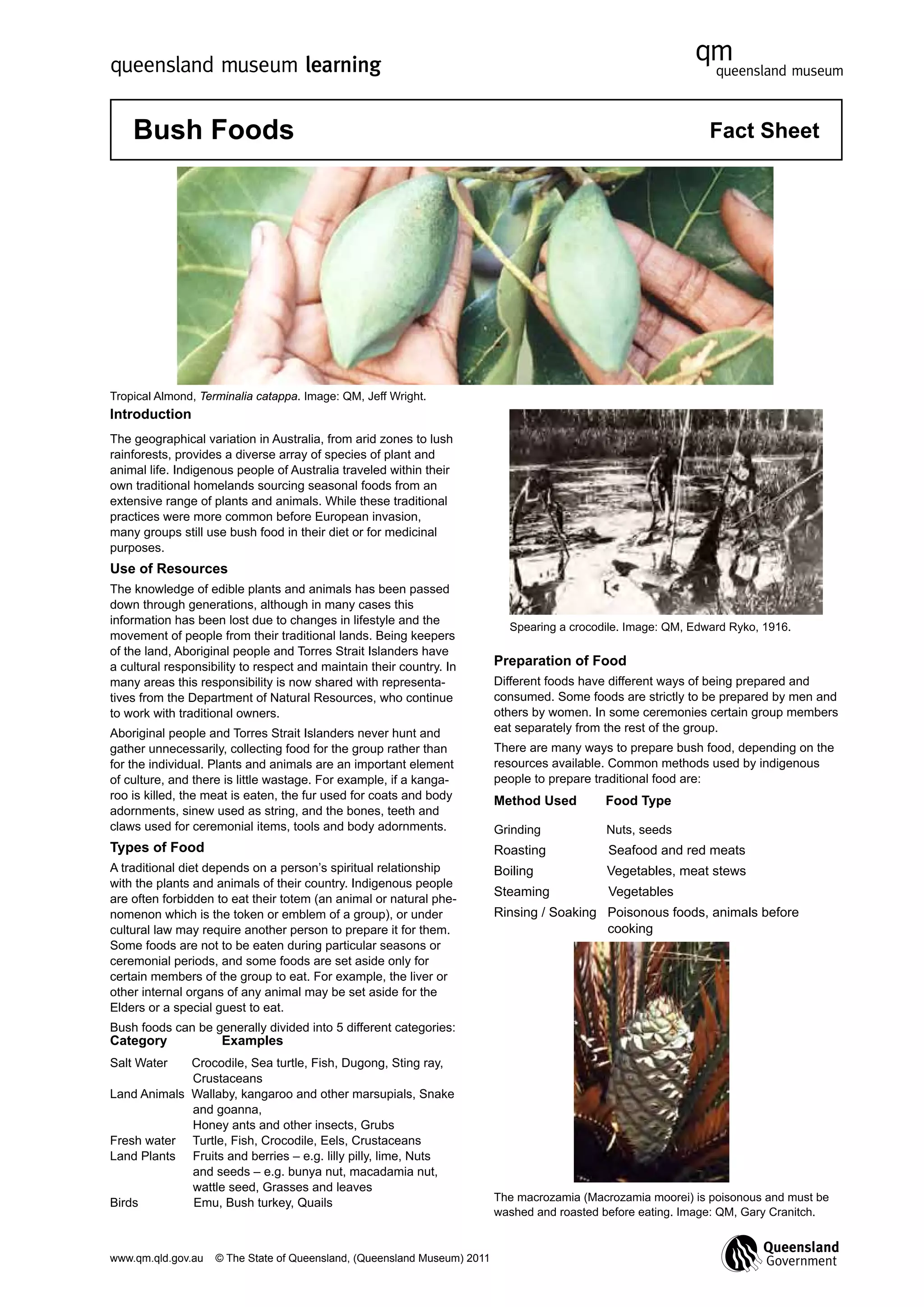 fact-sheet-bush-foods | PDF
