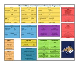 Complete Baseball Program | PPT