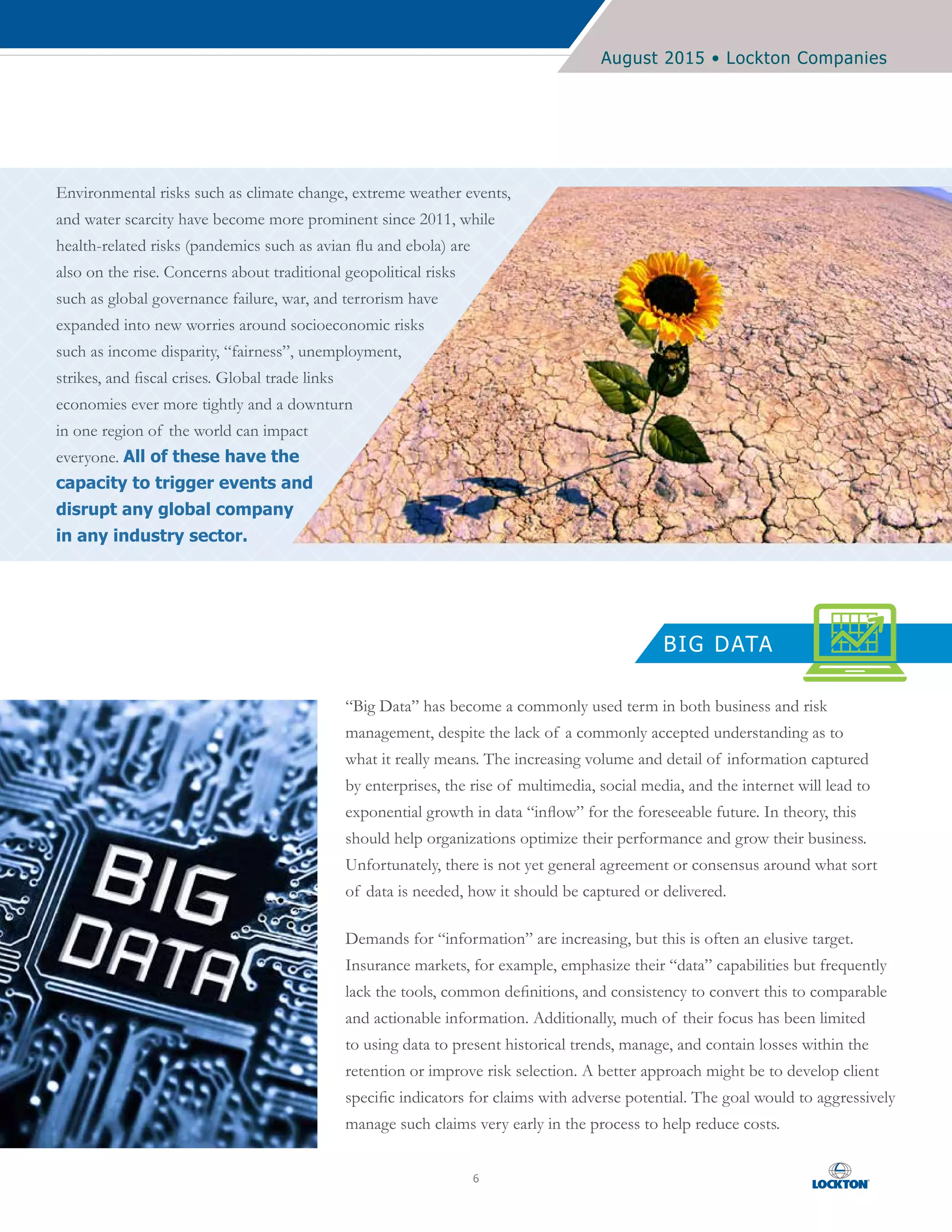 Multinational_Challenges | PDF