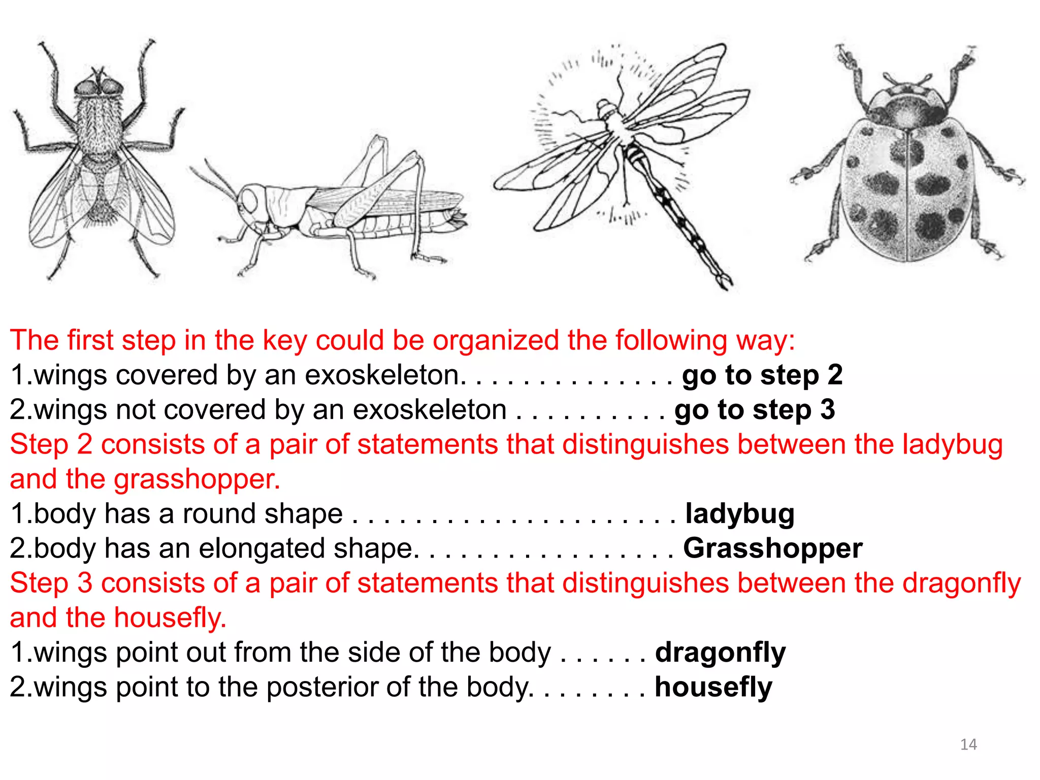 Taxonomy, principles and procedures | PPTX