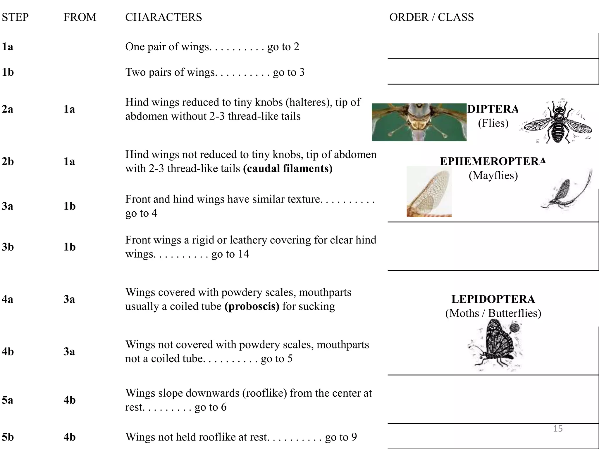 Taxonomy, principles and procedures | PPTX