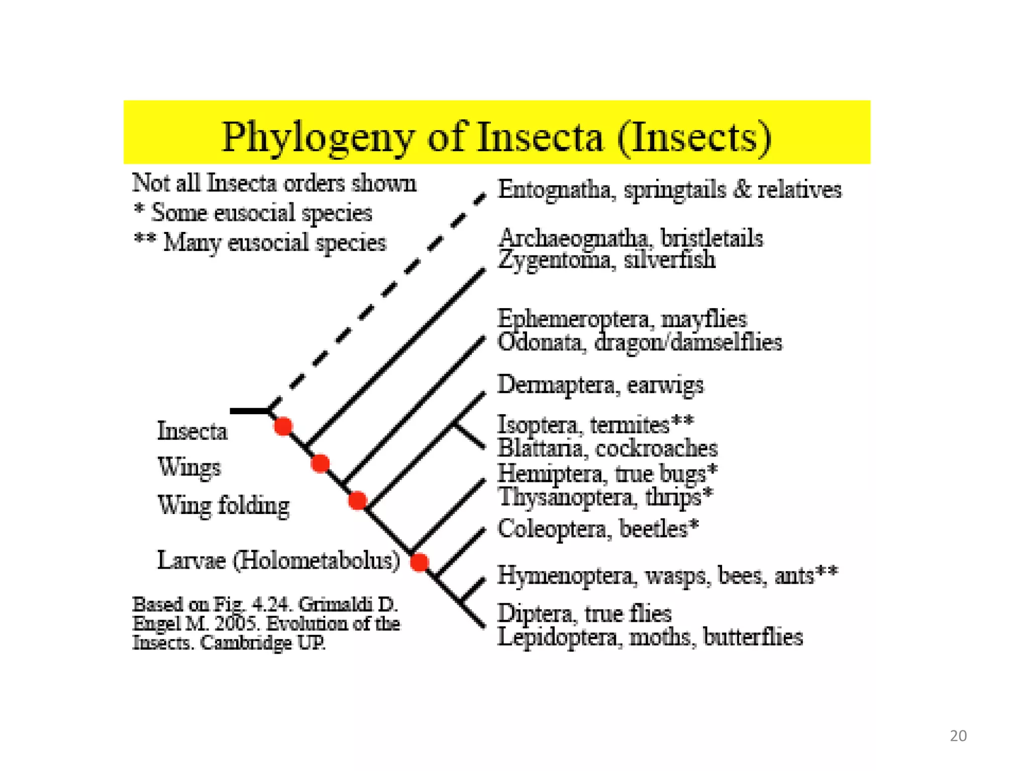 Taxonomy, principles and procedures | PPTX