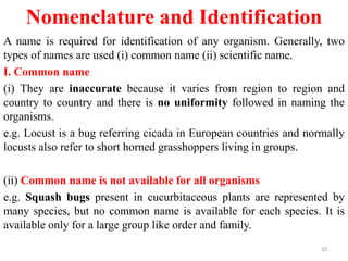 Taxonomy, principles and procedures | PPTX