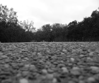 Level Eye Level | PPT