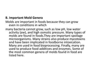 2_5291800613804312224.pptx