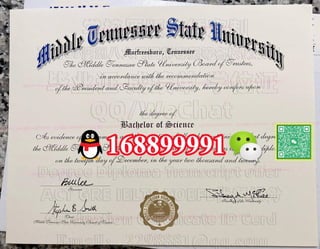 Middle Tennessee State University degree offer diploma Transcript | PPT