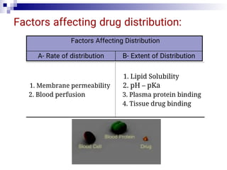 Biopharmaceutics drug distribution in the body | PDF