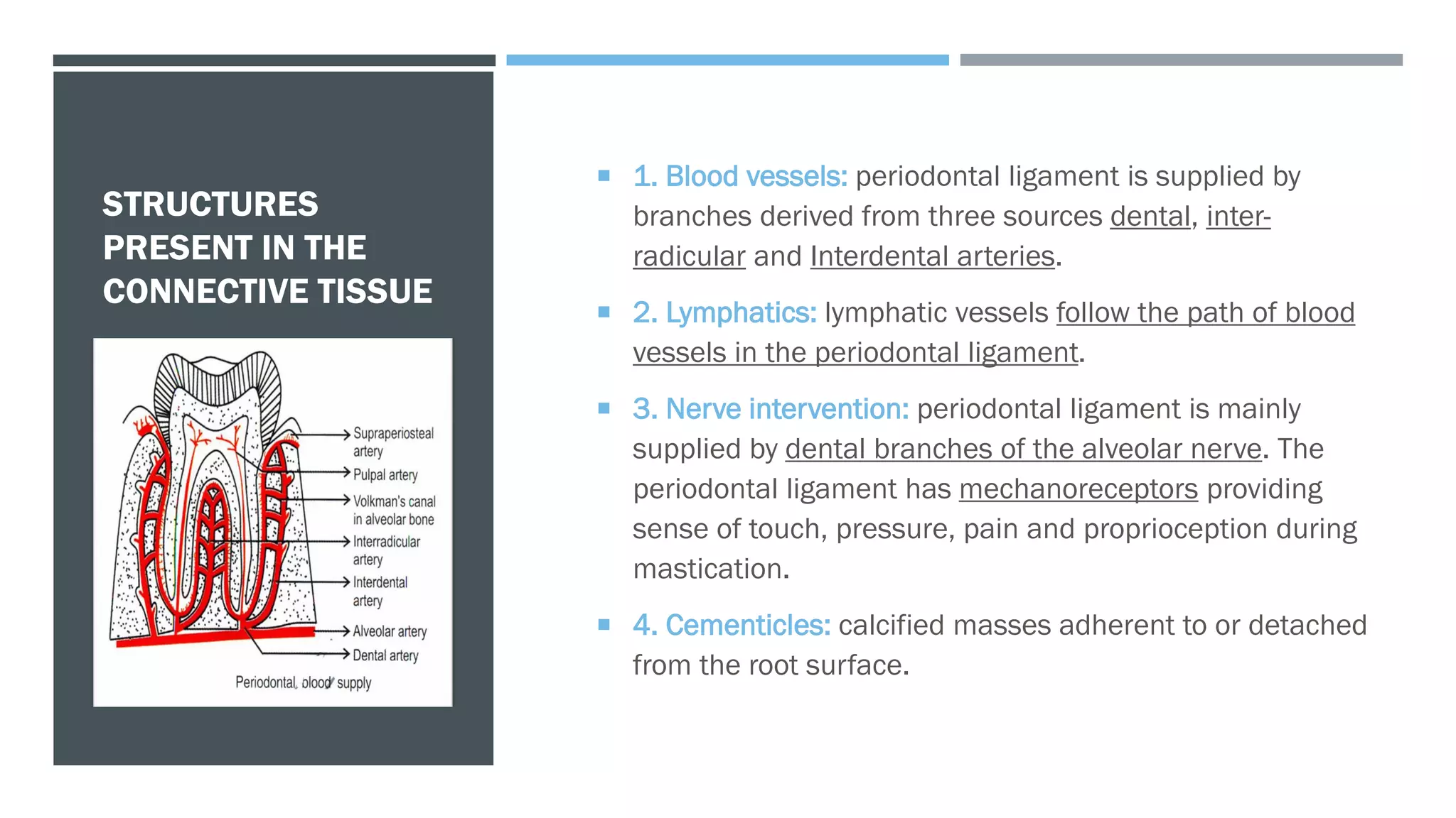 PERIODONTAL LIGAMENT (PDL) | PDF