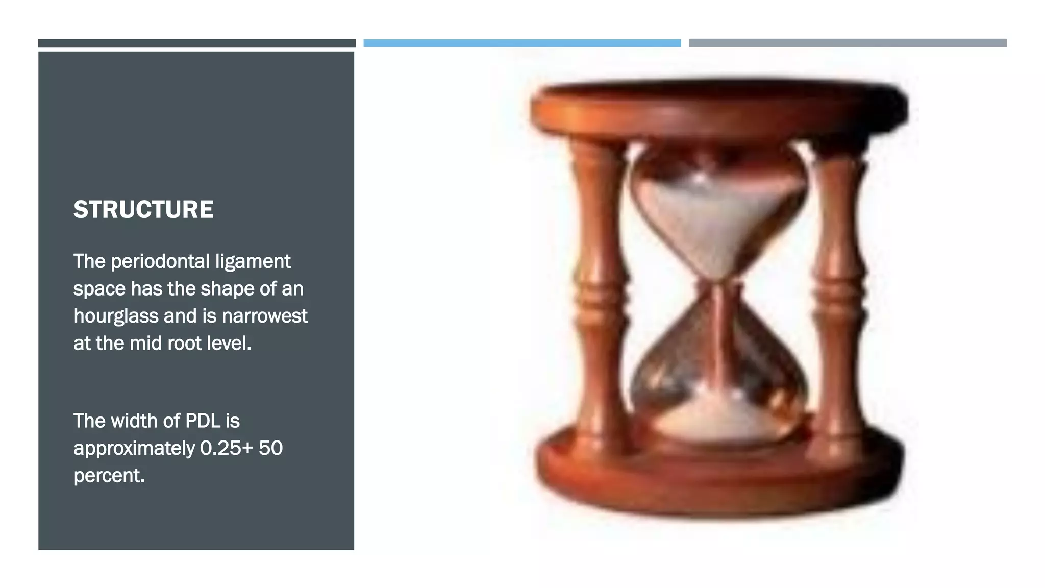 PERIODONTAL LIGAMENT (PDL) | PDF