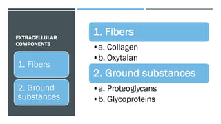 PERIODONTAL LIGAMENT (PDL) | PDF