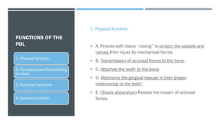 PERIODONTAL LIGAMENT (PDL) | PDF