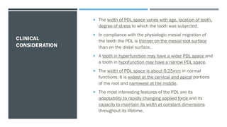 PERIODONTAL LIGAMENT (PDL) | PDF