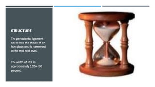 PERIODONTAL LIGAMENT (PDL) | PDF