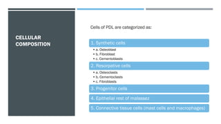 PERIODONTAL LIGAMENT (PDL) | PDF