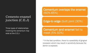 Cementum | PPT