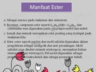 253207436-PPT-ESTER.pptx