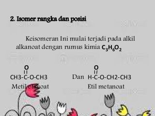 253207436-PPT-ESTER.pptx