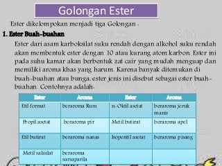 253207436-PPT-ESTER.pptx