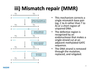 2_5332278739243900645.ppt