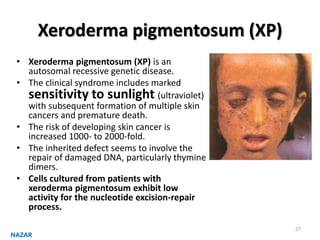 2_5332278739243900645.ppt