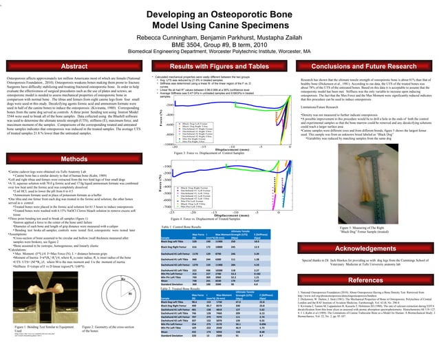 Bme bone poster | PPT