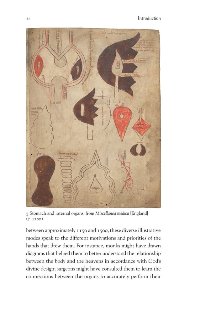 The Art Of Anatomy In Medieval Europe Taylor Mccall | PDF