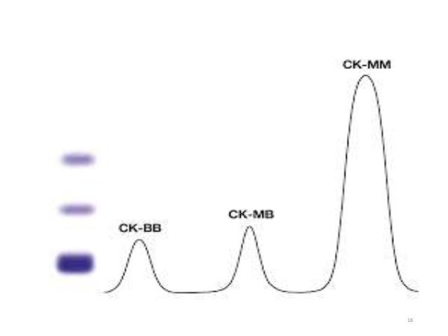 clinical enzymology