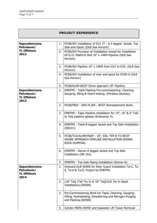 SAFIUDDIN SOHOT CV | PDF