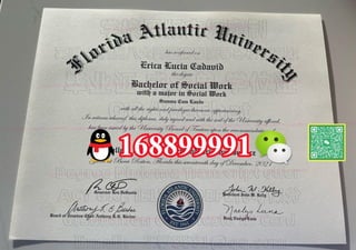 Florida Atlantic University degree offer diploma Transcript | PDF